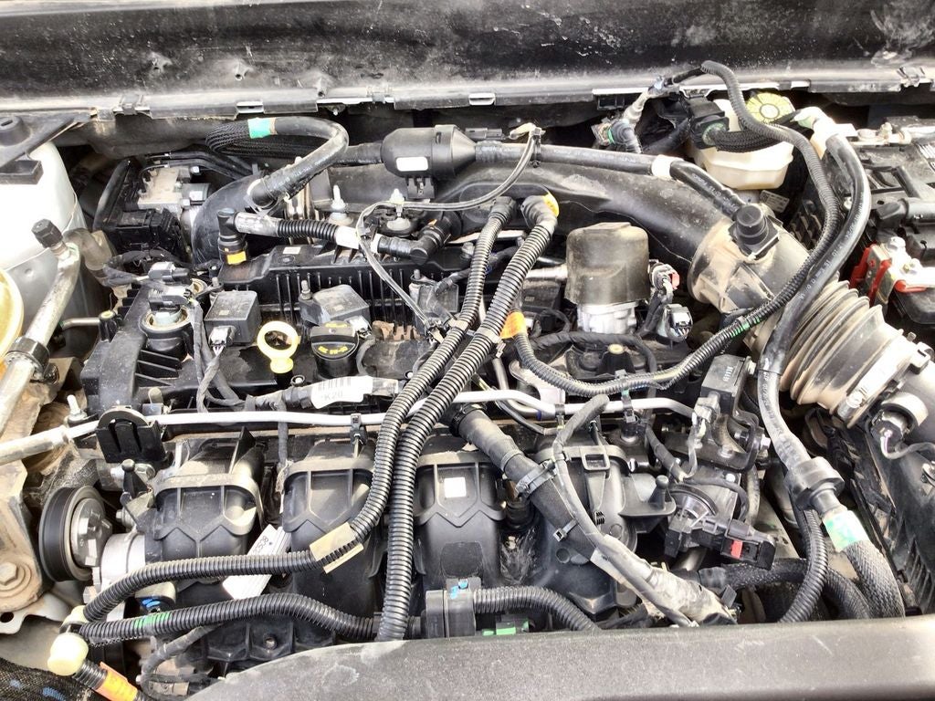 2024 Ford Maverick XLT Livingston TX | Kramer Chevrolet GMC ...